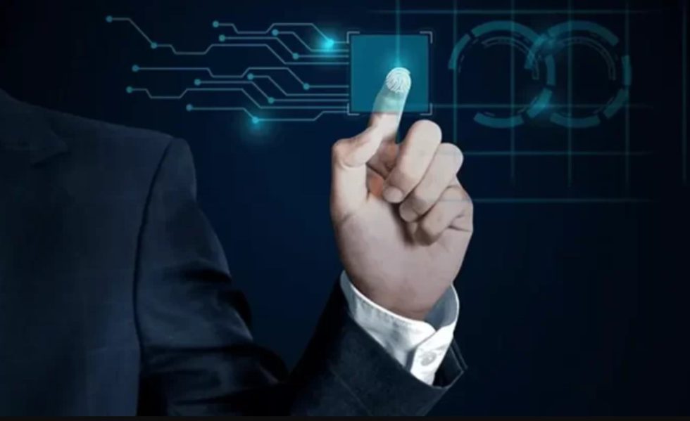 Cara Melihat Absen di Fingerprint untuk Memastikan Keakuratan Data ...